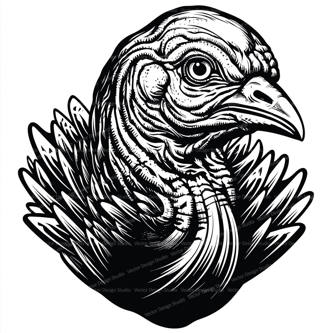 Turkey Head Svg & PNG Files, Thanksgiving Turkey Clipart Silhouette ...