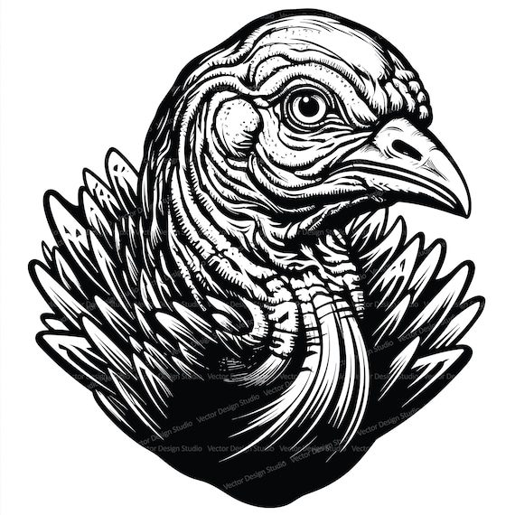 Turkey Head Drawing