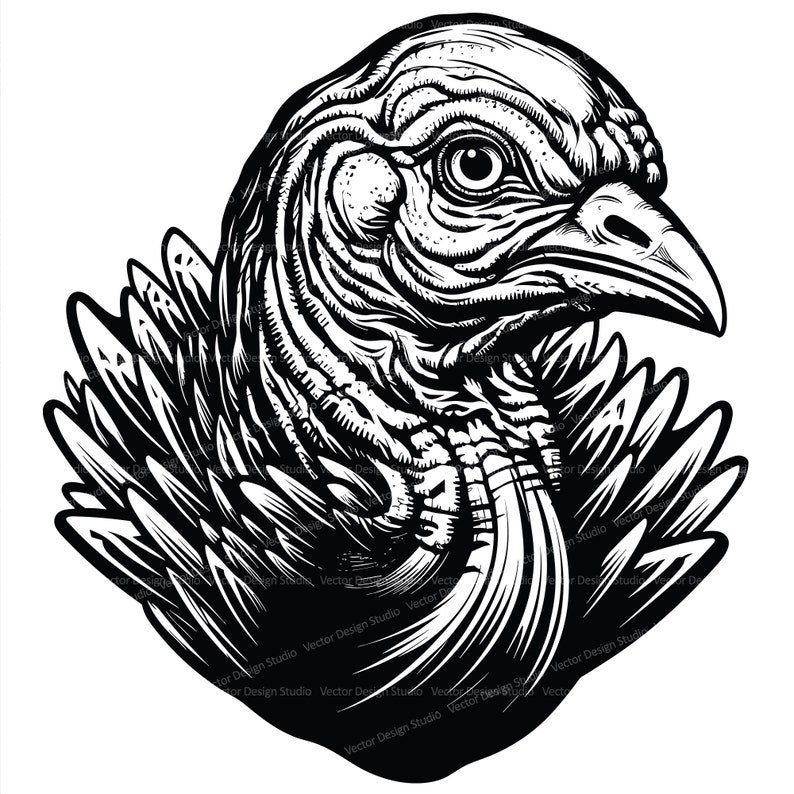 Turkey Head Svg & PNG Files, Thanksgiving Turkey Clipart Silhouette ...