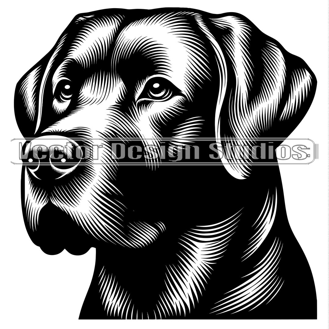 Labrador Retriever Head SVG & Png File, Dog Clipart Silhouette, Dog ...