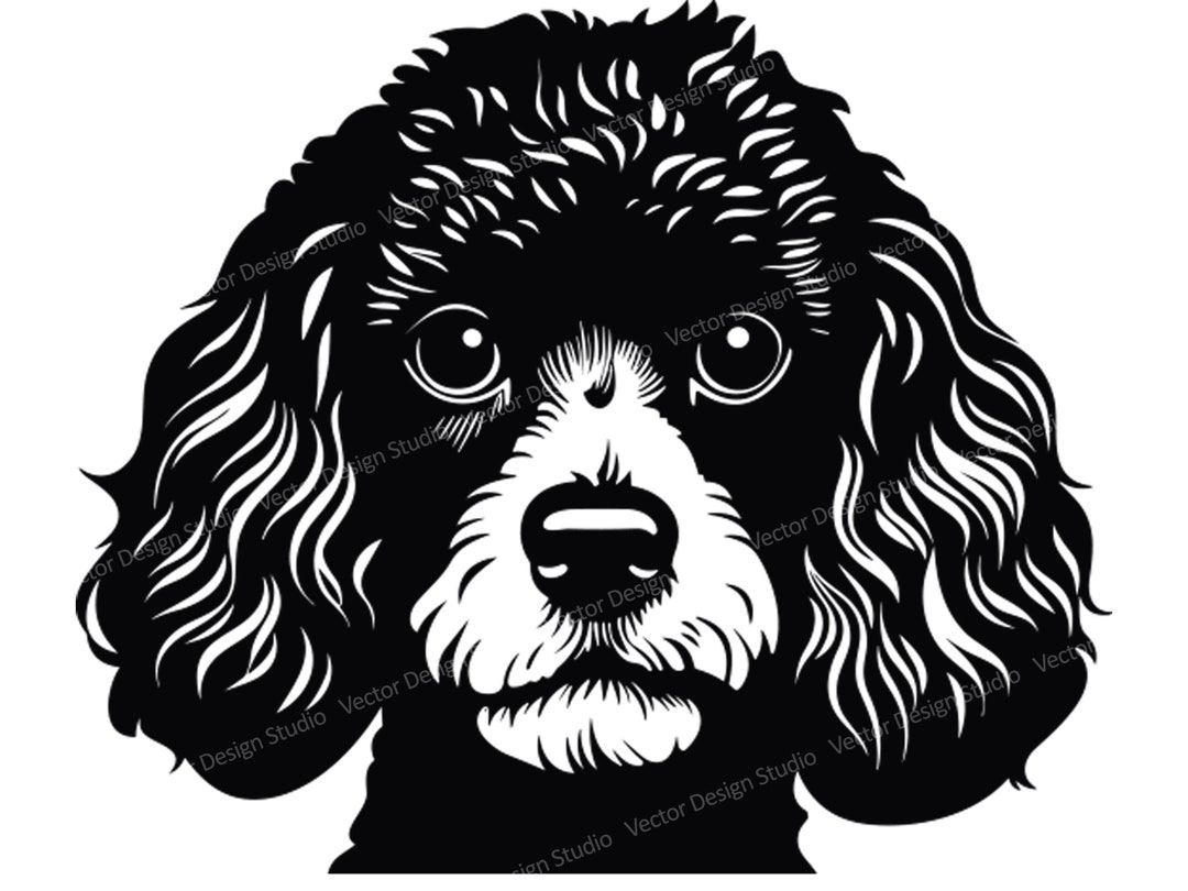 Archivo SVG de cabeza de caniche imágenes vectoriales de caniche ...