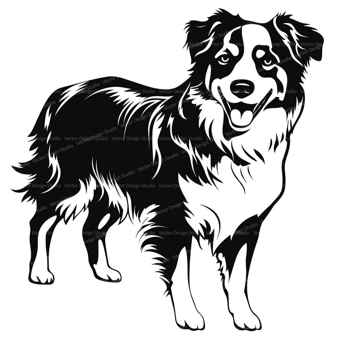 Australian Shepherd Dog SVG & Png File - Australian Shepherd Clipart ...