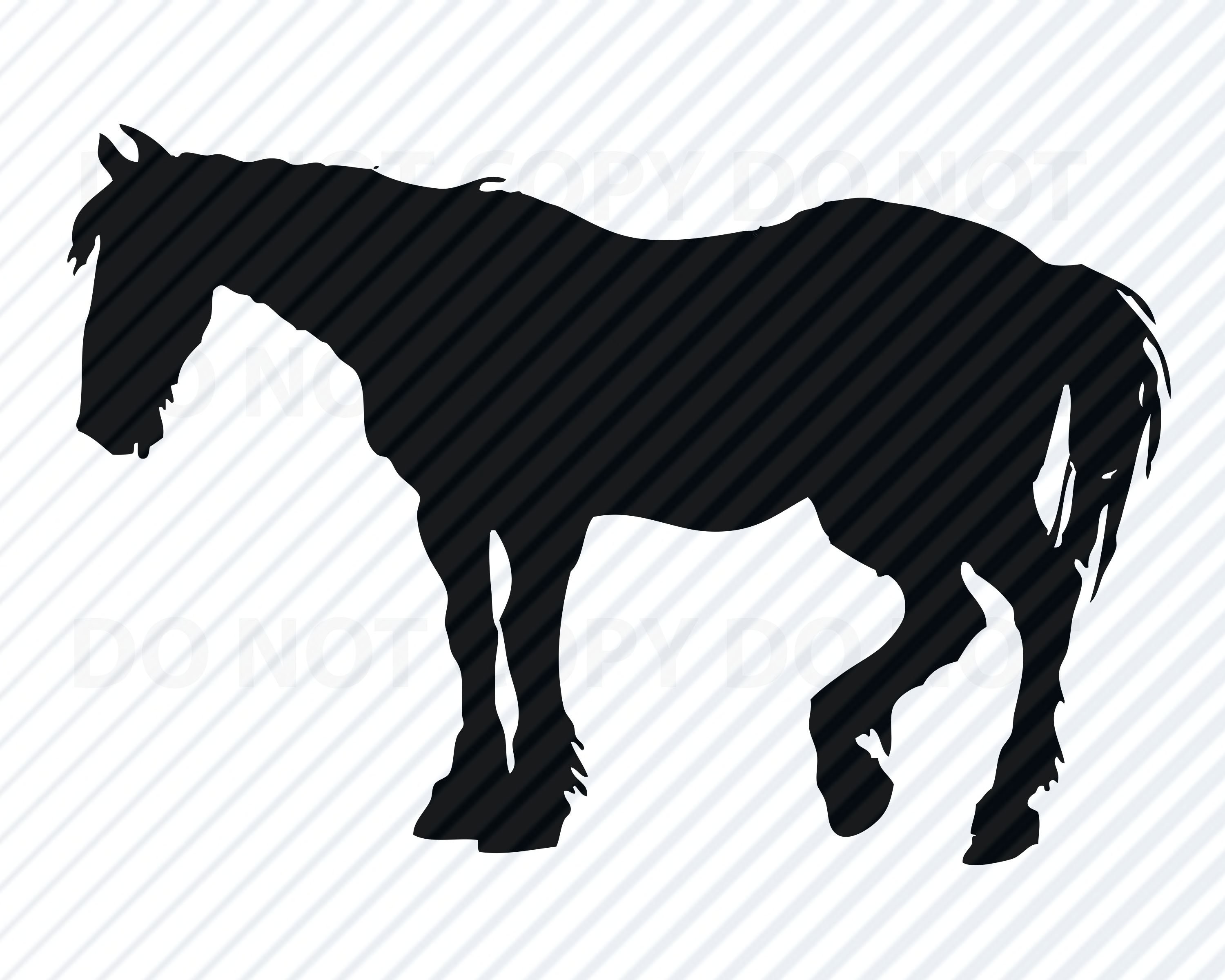 Vector Horse Clipart Horse Files for Cricut Horse Svg Horse Dxf Svg ...