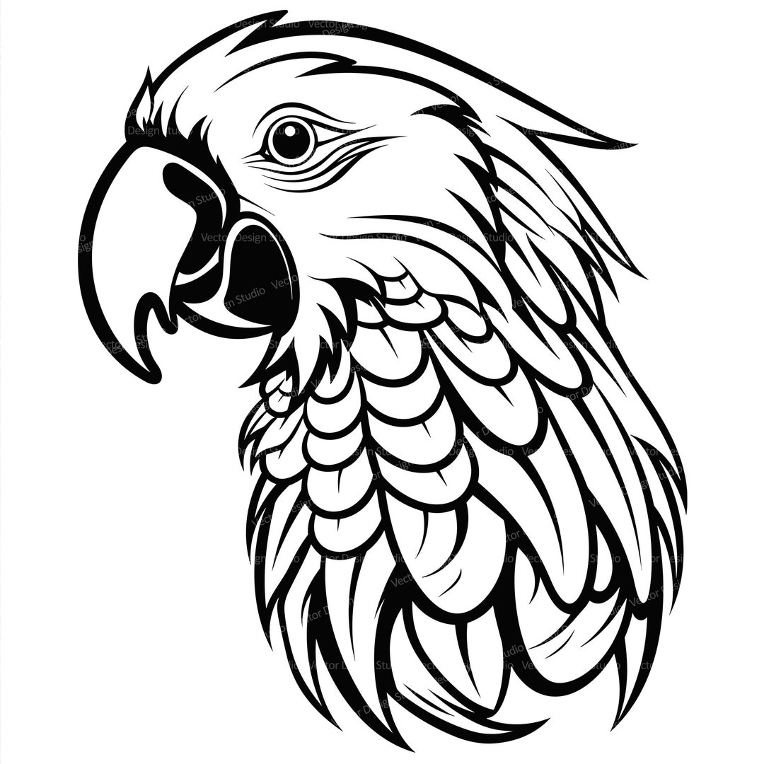 Parrot Svg & PNG File Graphic, Bird Clipart Vector, Talking Birds SVG ...