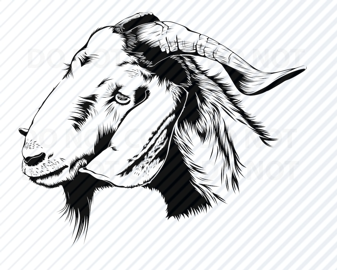 Goat Head SVG Files Clipart Goats Face Clip Art Silhouette Vector ...