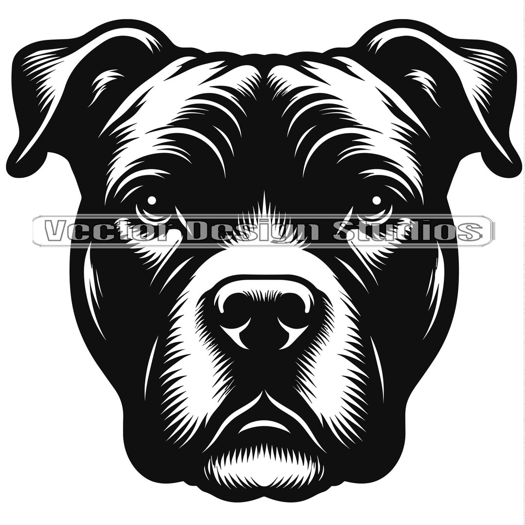 Pitbull Head Svg & PNG Files, Pitbull Face Clipart, Dog Vector Image ...