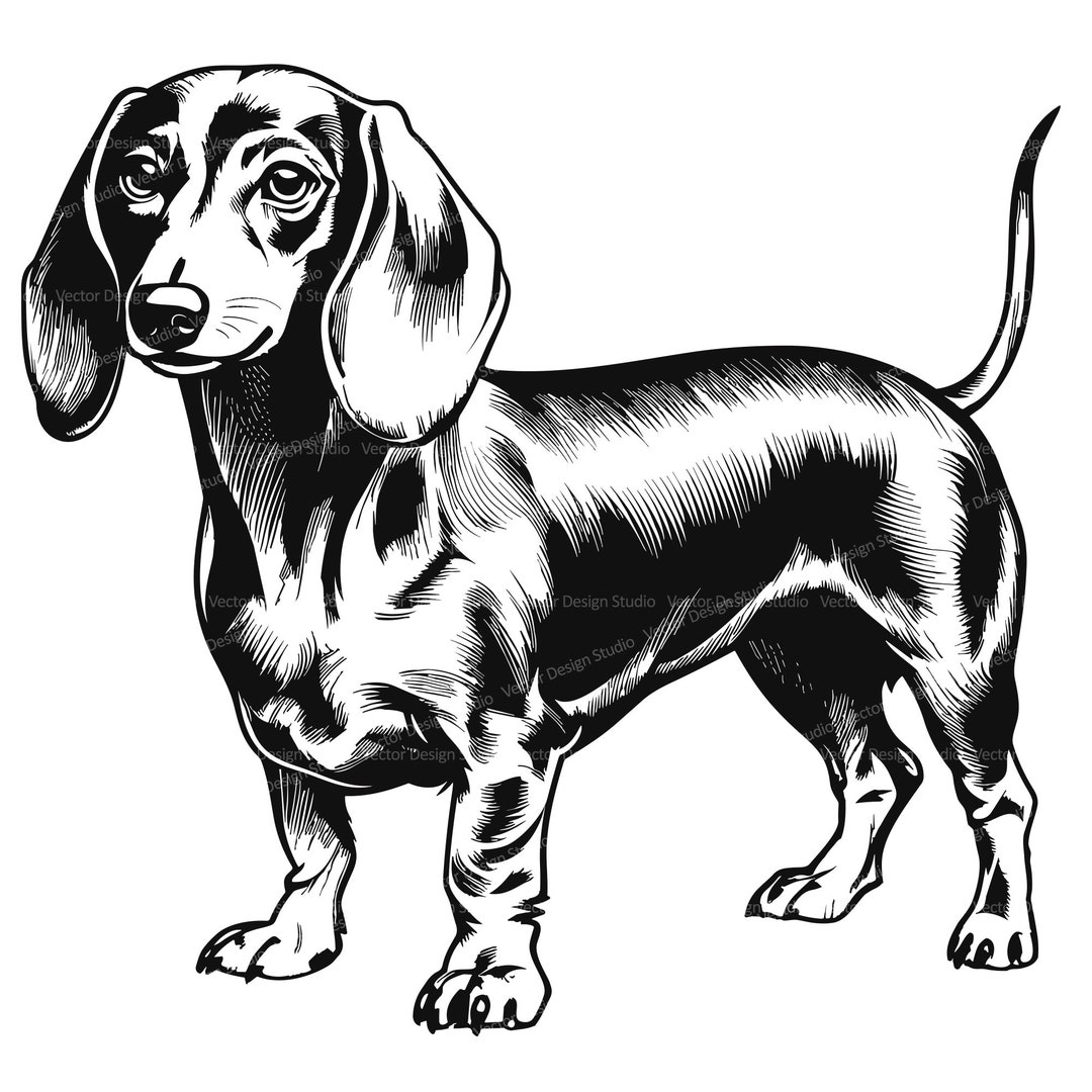 Dachshund Dog SVG & Png File, Wiener Dog Clipart Silhouette, Dog Breed ...