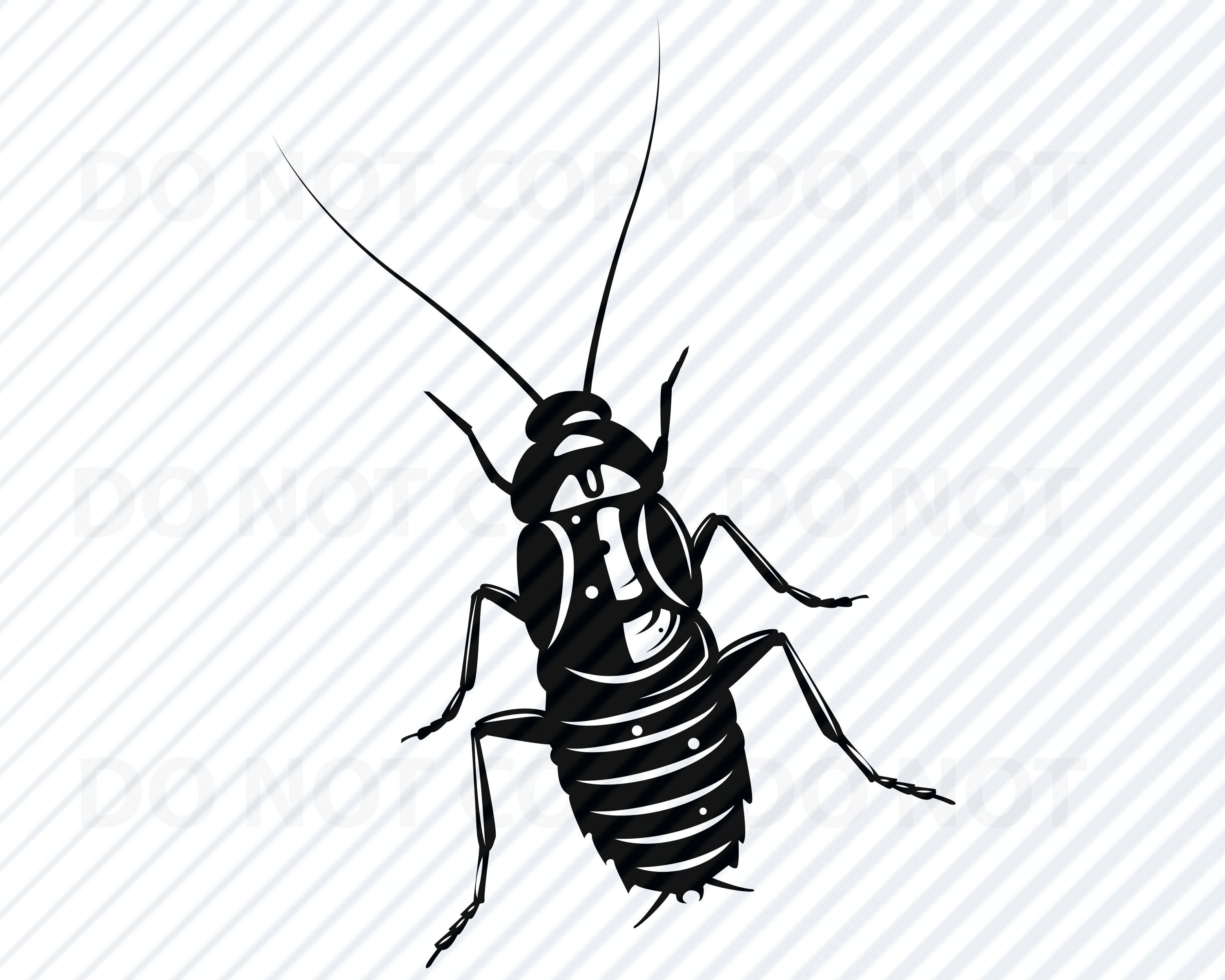 Visual Arts Craft Supplies & Tools Cockroach #2 SVG Cockroach Png ...