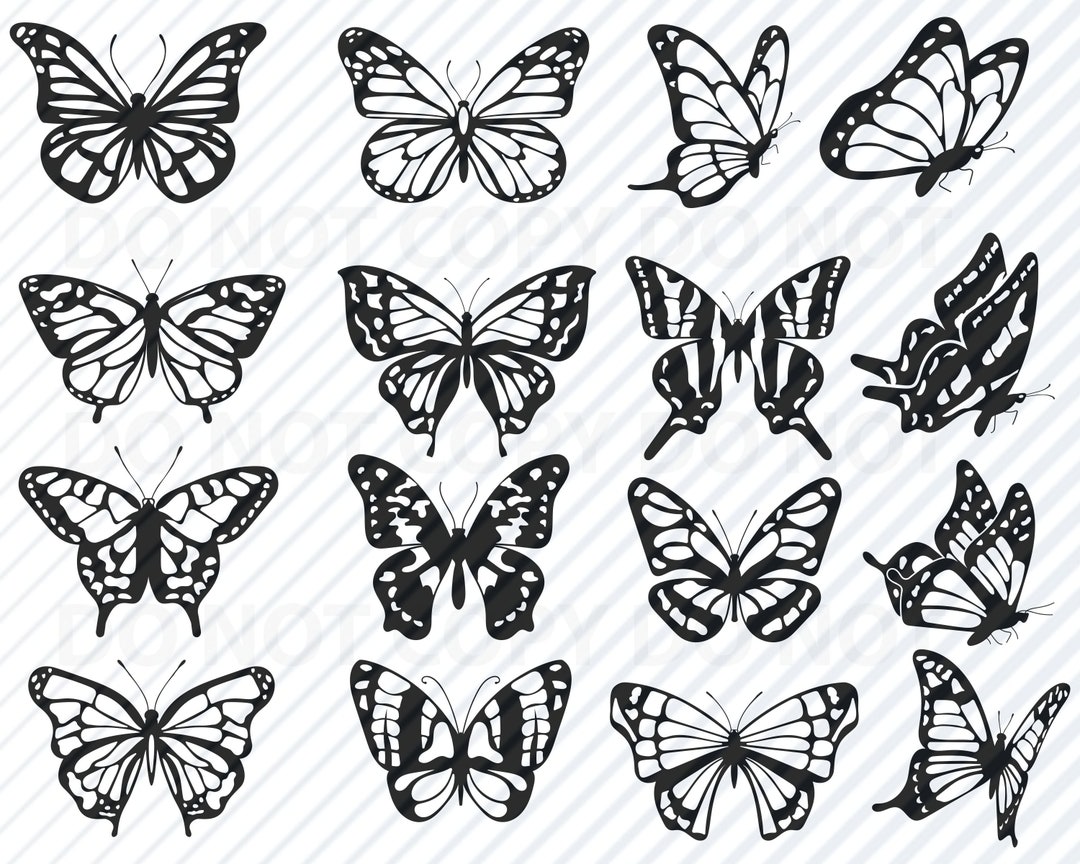 Butterfly SVG Files Bundle Monarch Butterfly Vector Images Butterfly ...