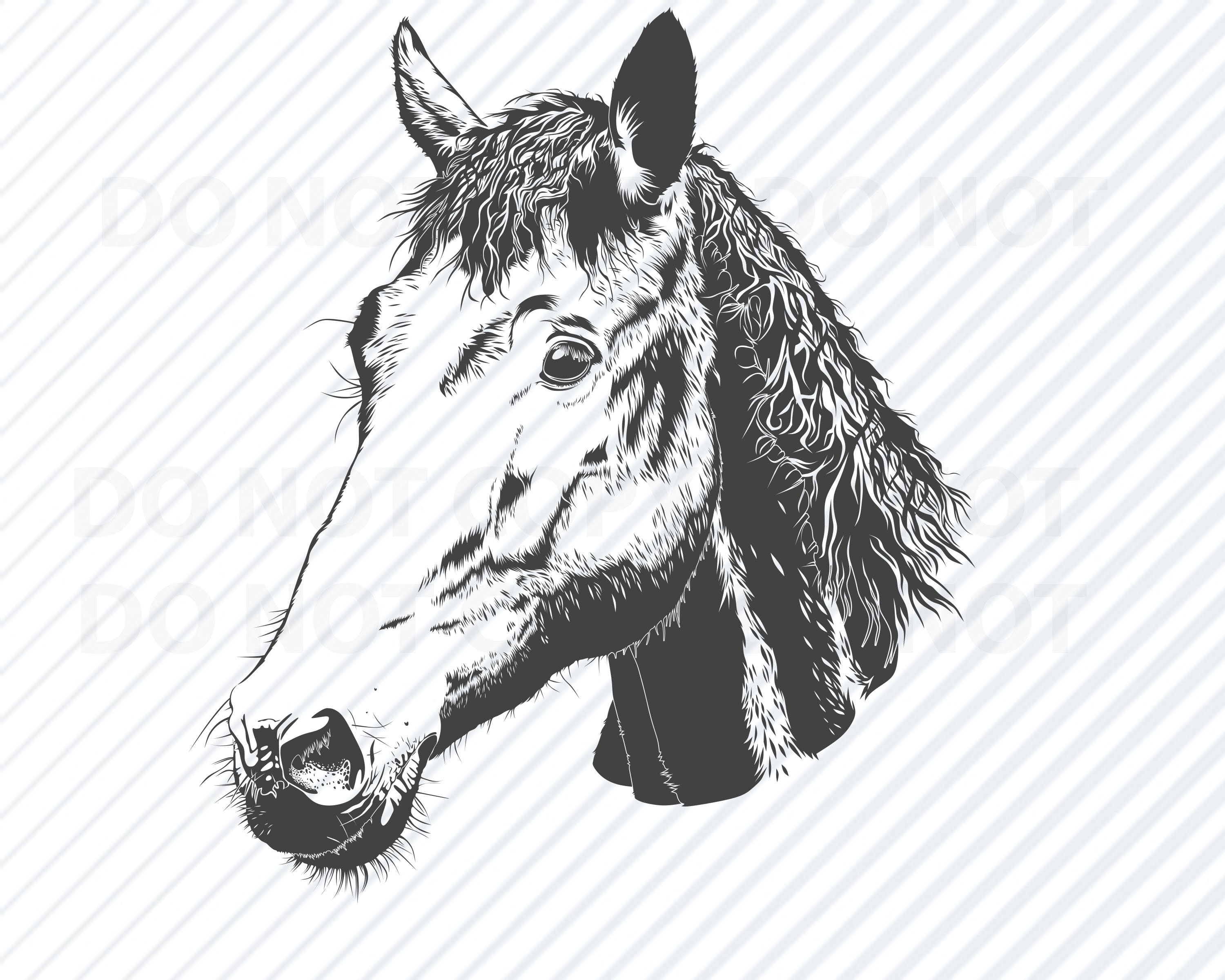 Horses Face Black And White Clipart