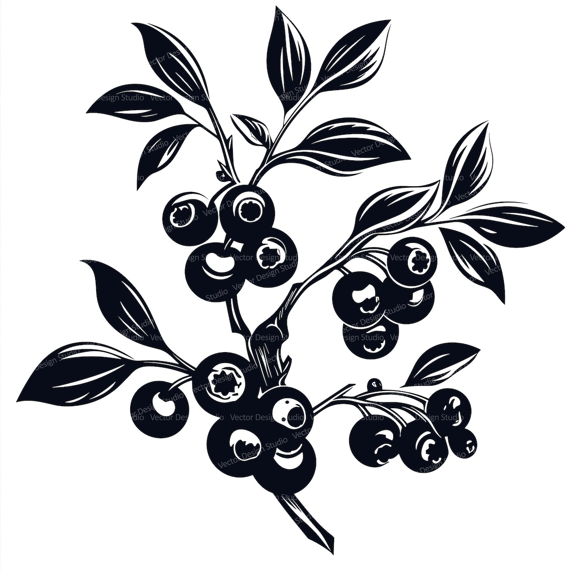 Blueberries Svg & PNG Files, Blueberry Fruit Clipart Silhouette Vector ...