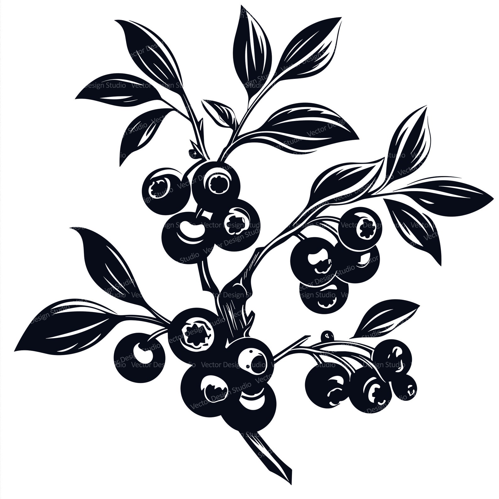 Blueberries Svg & PNG Files, Blueberry Fruit Clipart Silhouette Vector ...