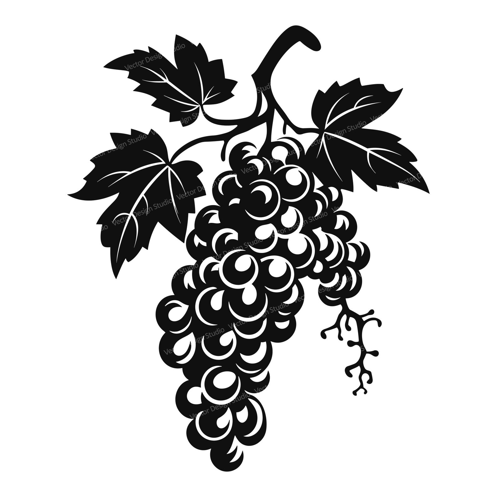 Grapes Svg & PNG Files, Grapes Vector Image Clipart, Cut Files, SVG for ...