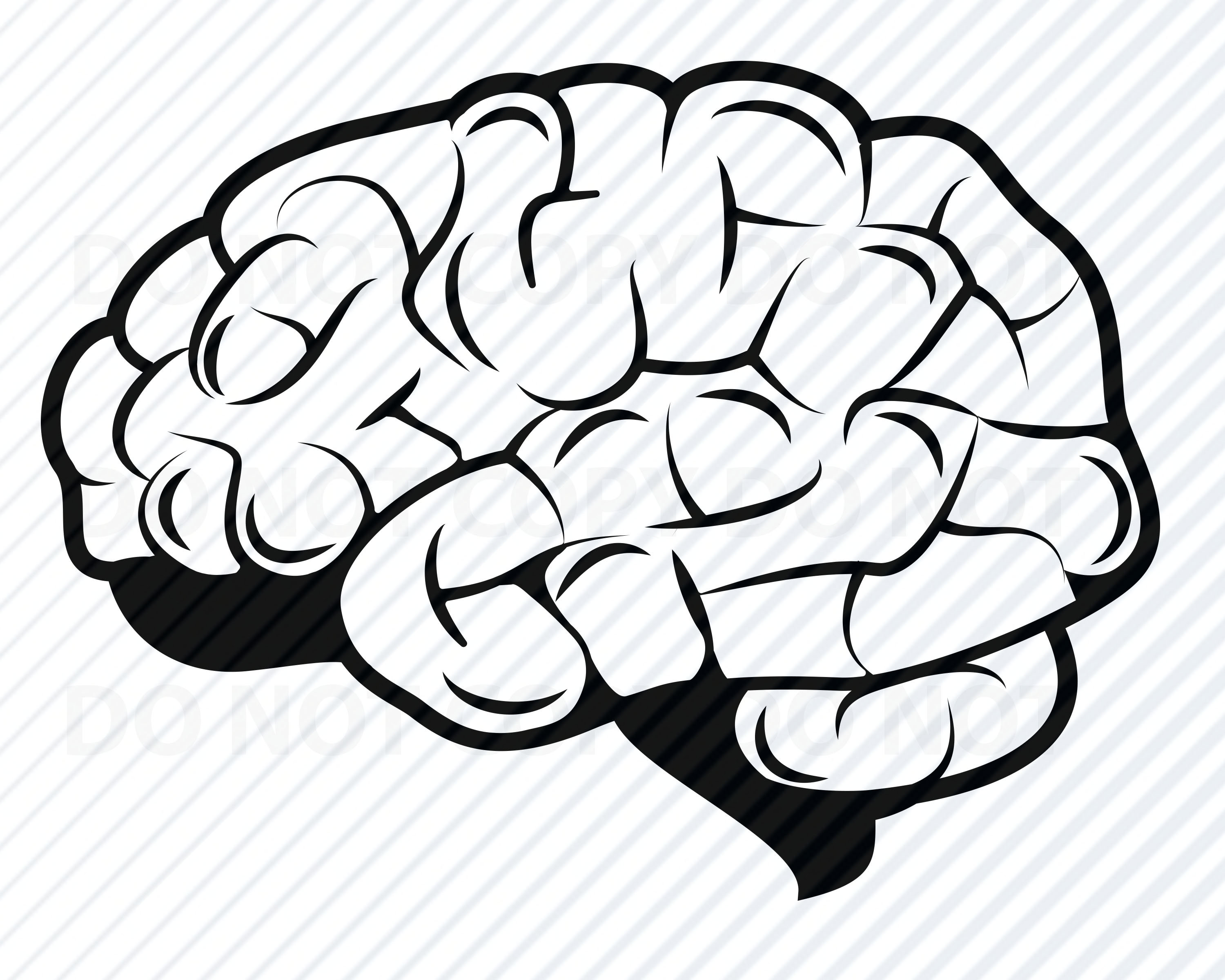 Human Brain Clipart Black And White