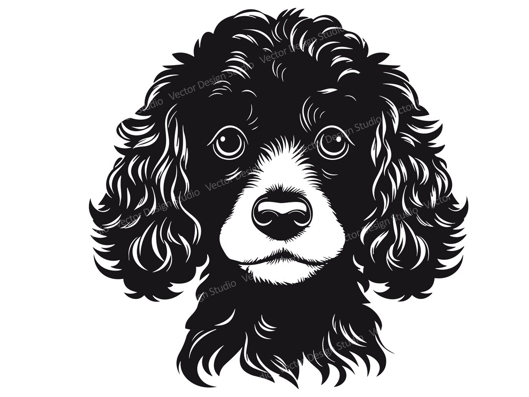 Poodle Head SVG File - Poodle Vector Images Clipart Dog SVG Image for ...