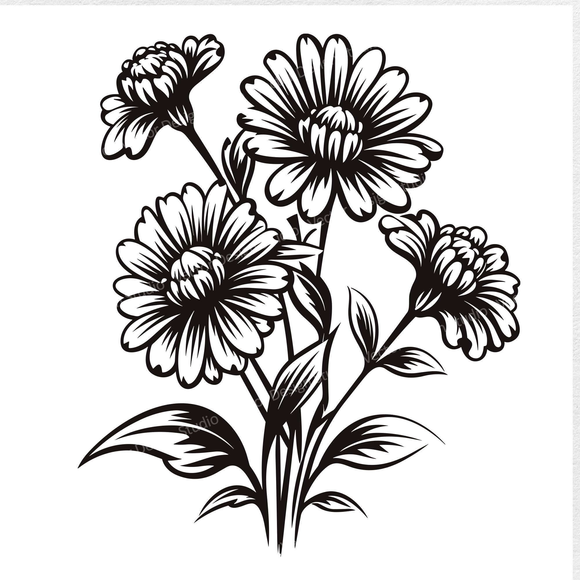 Aster Flower SVG - September Birth Flower Clipart (digital Download) - Etsy