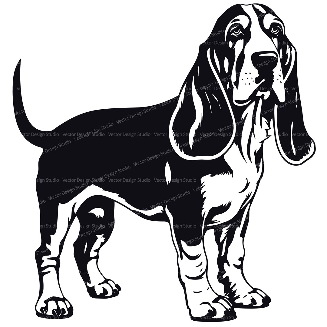 Basset Hound SVG & Png File, Dog Clipart Silhouette, Dog Breed Vector ...