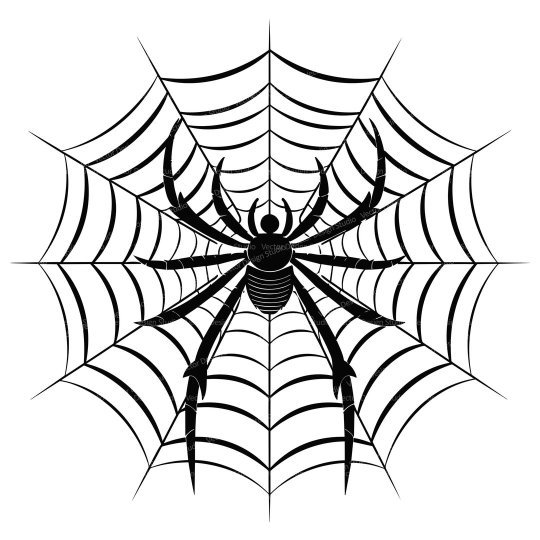 Halloween Spider Web SVG, Spooky Spider Clipart (PNG, Vector) - Etsy