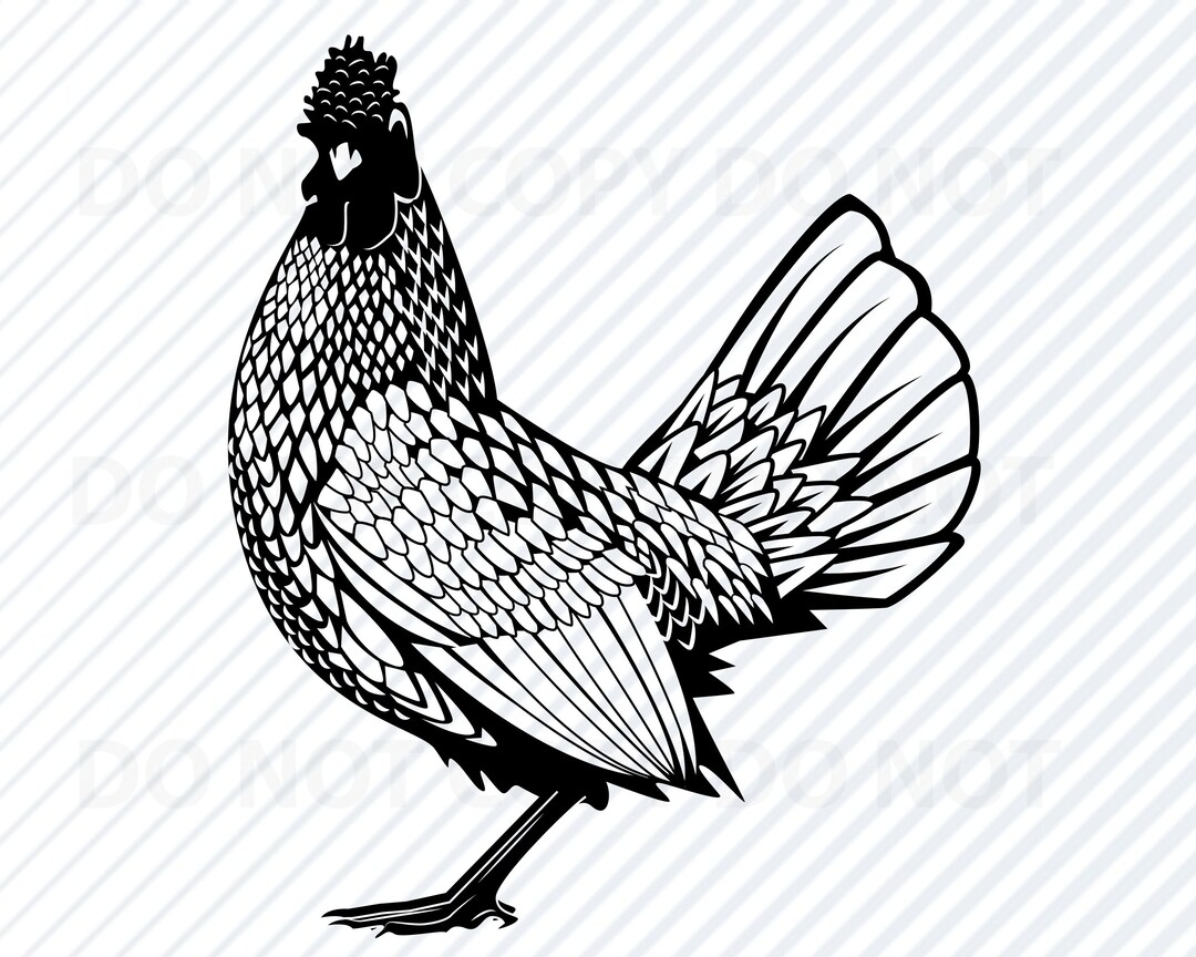 Chicken SVG Files Clipart - Clip Art Silhouette Vector Images - Farm ... Chicken SVG Files Clipart - Clip Art Silhouette Vector Images - Farm ...