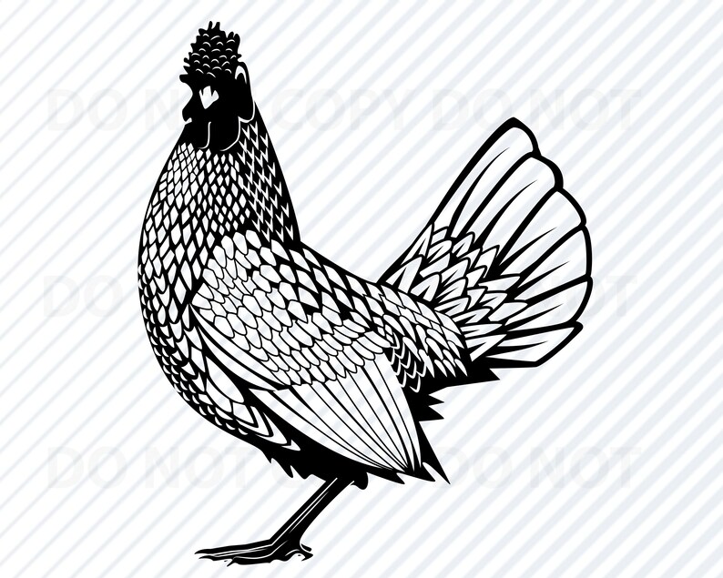 Chicken SVG Files Clipart - Clip Art Silhouette Vector Images - Farm ...