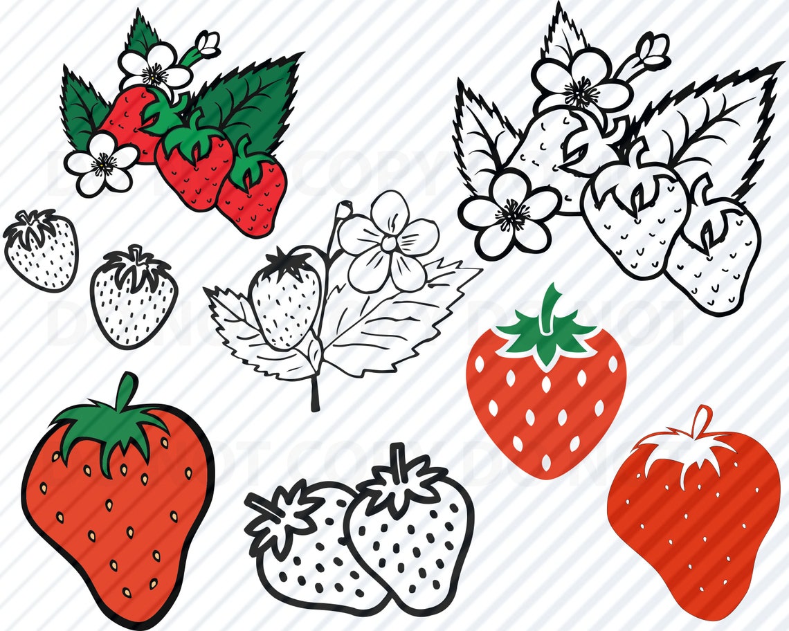 Strawberries SVG Files Fruit Vector Images Silhouette Clip - Etsy