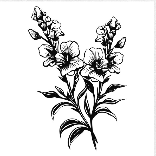 Larkspur Flowers - Etsy