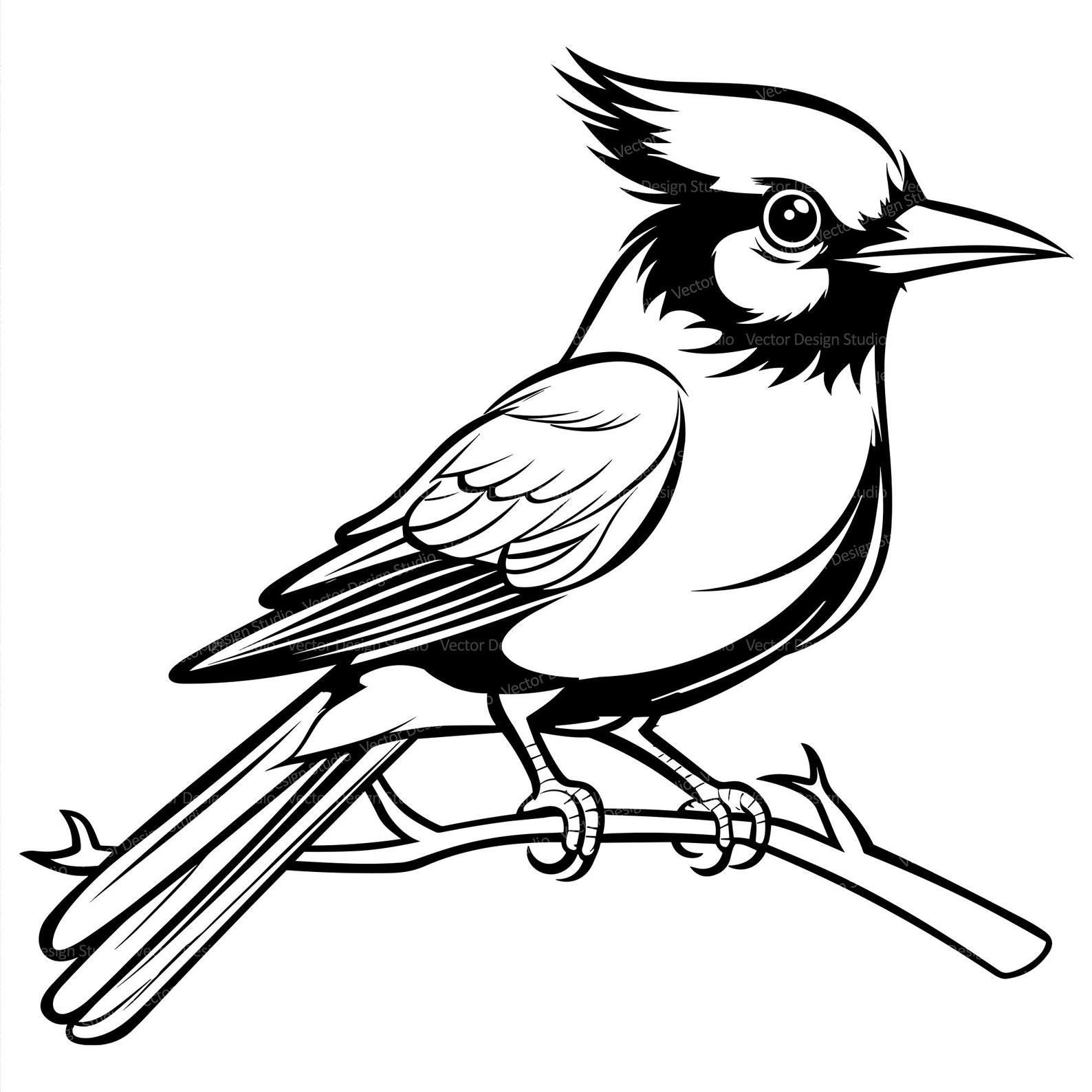 Blue Jay Svg & PNG File Graphic, Bird Clipart Vector, Bluejay Birds SVG ...