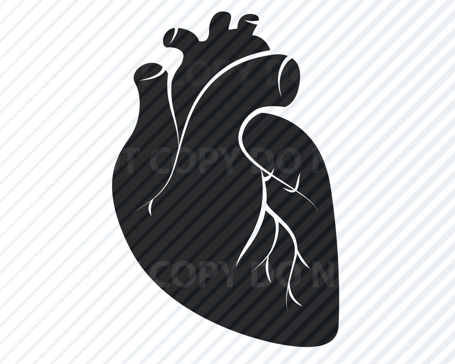 Anatomical Heart 4 SVG Files Medical Svg Clipart Anatomy - Etsy