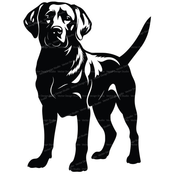 Labrador Retriever Clipart Free Vectors | Labrador