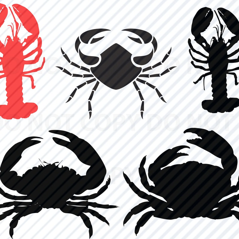 Crab Svg - Etsy