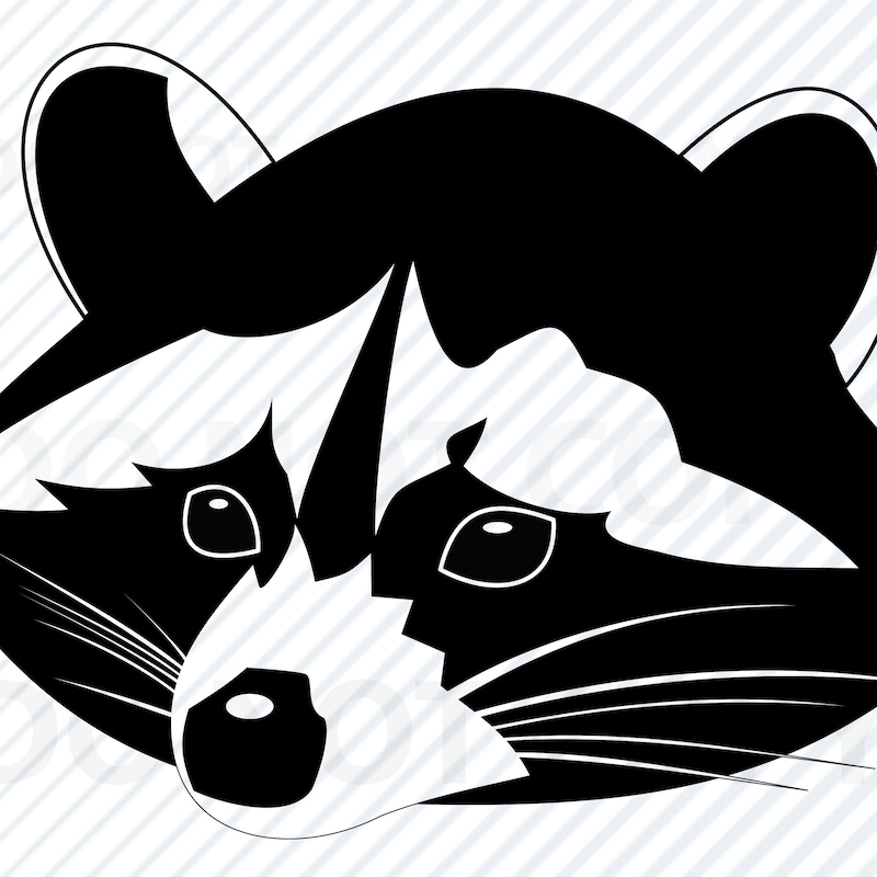 Raccoon Face Svg - Etsy