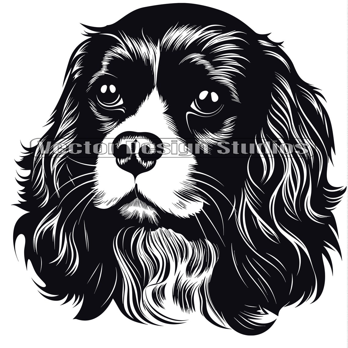 Cavalier King Charles Spaniel Face SVG& Png Files, Vector Images ...
