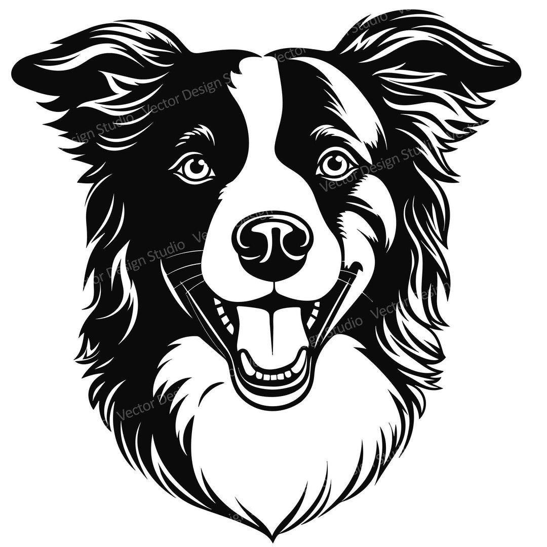 Border Collie Head SVG File - Border Collie Profile Vector Images ...
