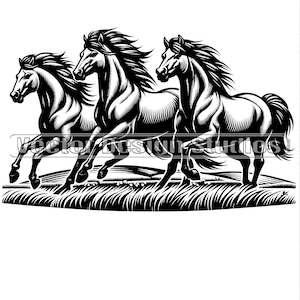 Running Horse Illustration, Wild Horse Silhouette Vector (SVG & PNG) - Etsy
