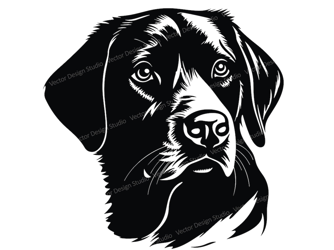 Labrador Retriever Head SVG File - Lab Profile Vector Images Clipart ...