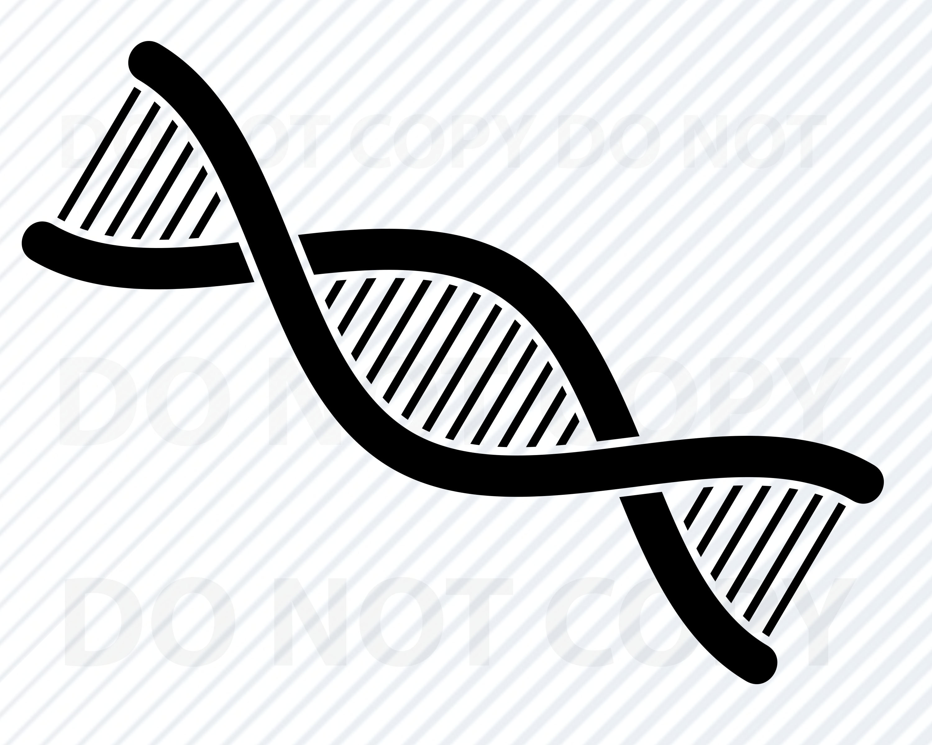 Black And White Dna Strand