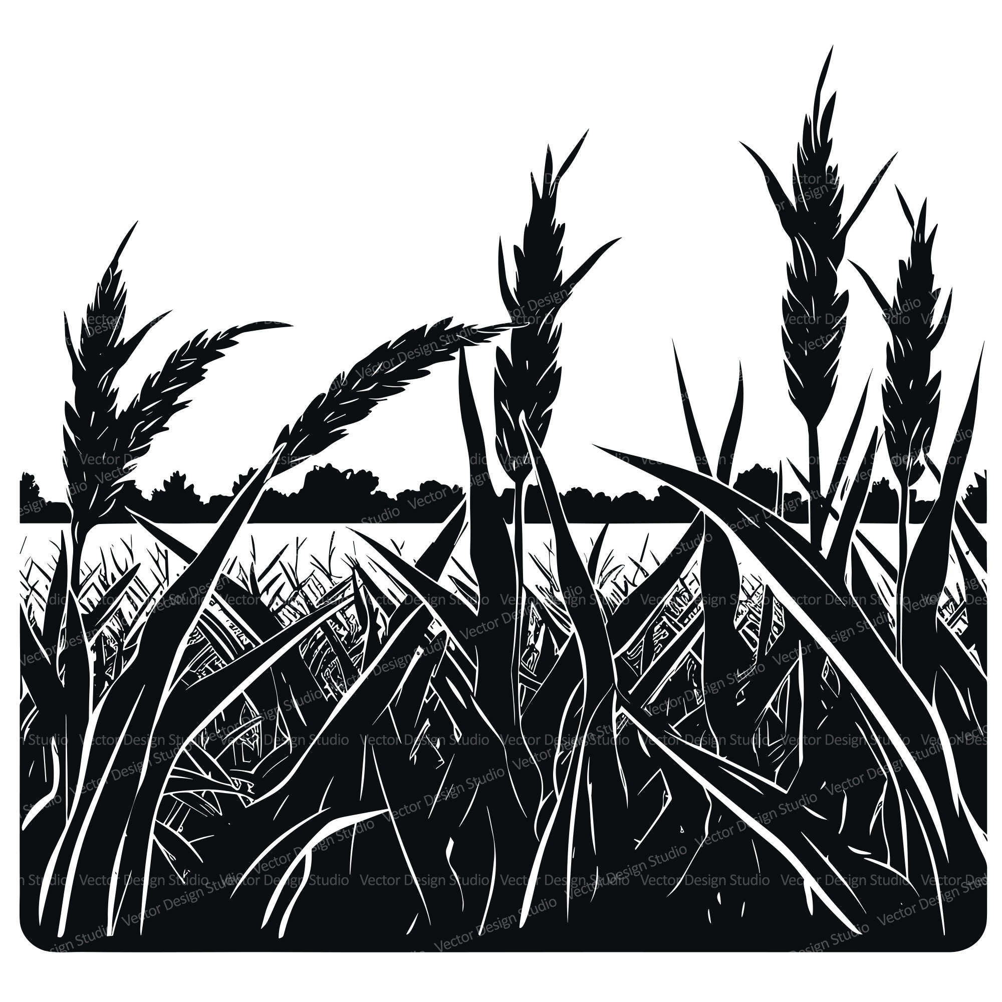 Cornfield Drawing