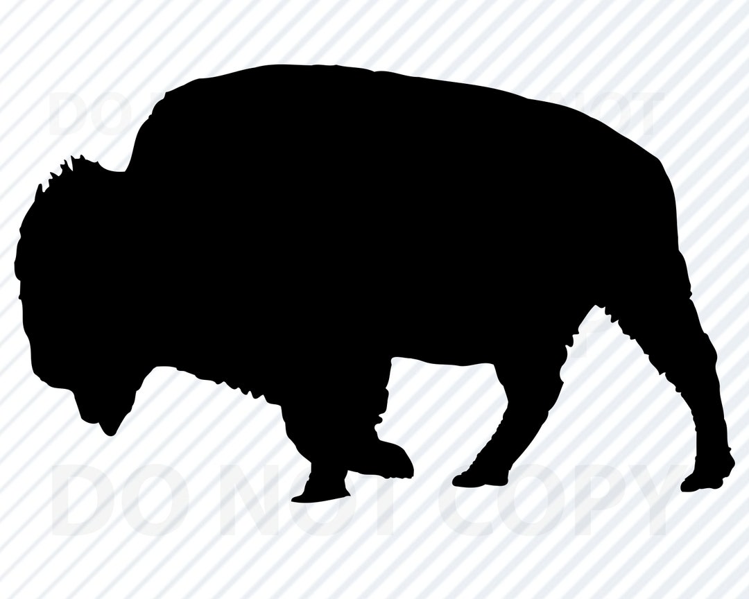 Bison SVG Files- Bison Silhouette Clip Art - Eps, Buffalo Bison Png ...