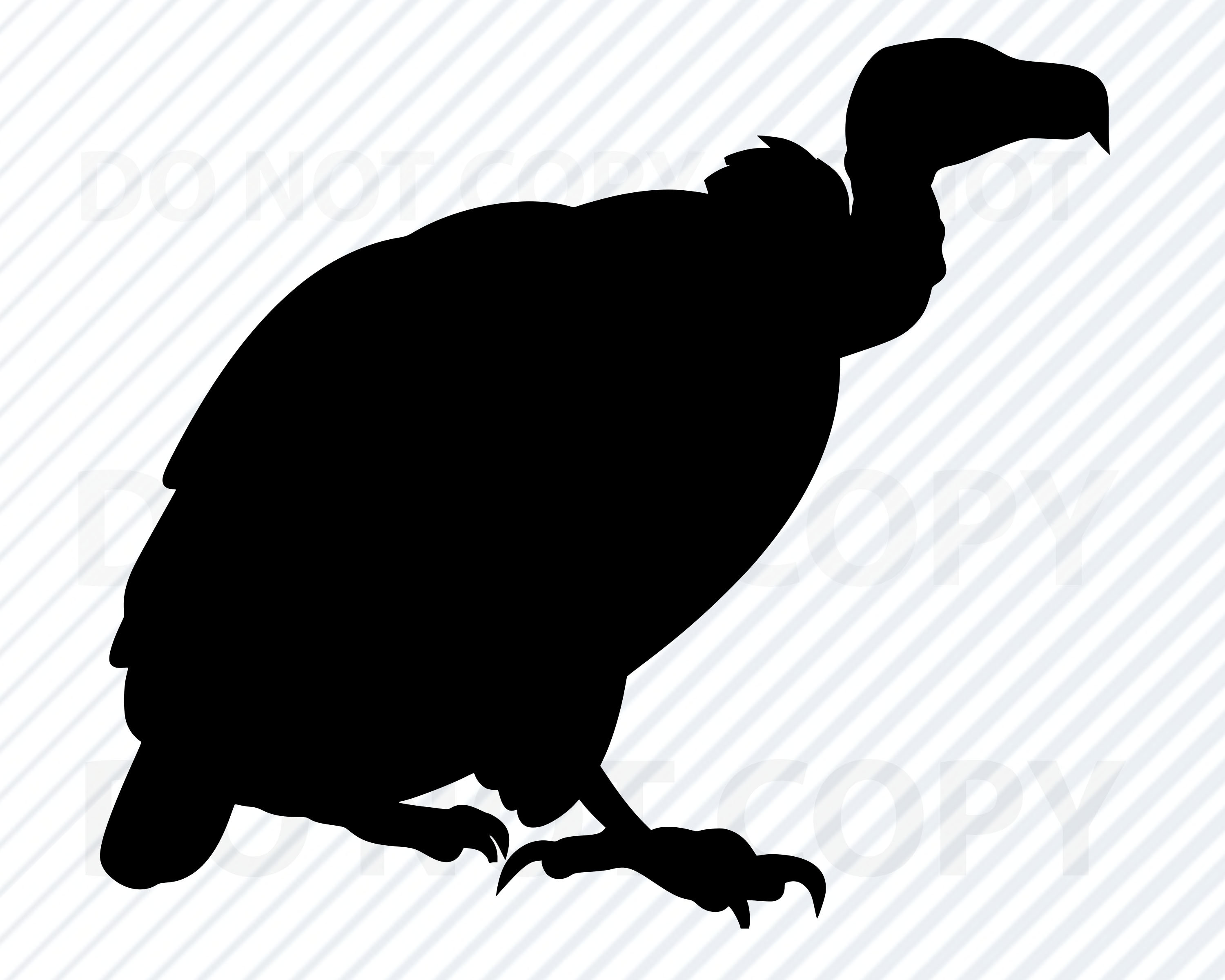 Vulture Black And White Clipart