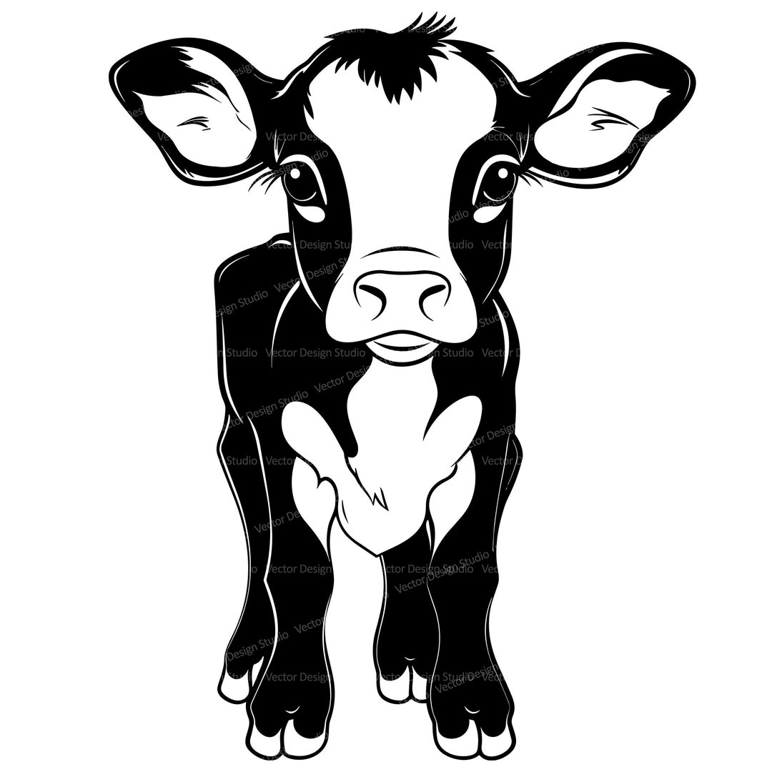 Cute Baby Cow Svg & PNG Files, Babyfarm Animals Clipart Silhouette ...
