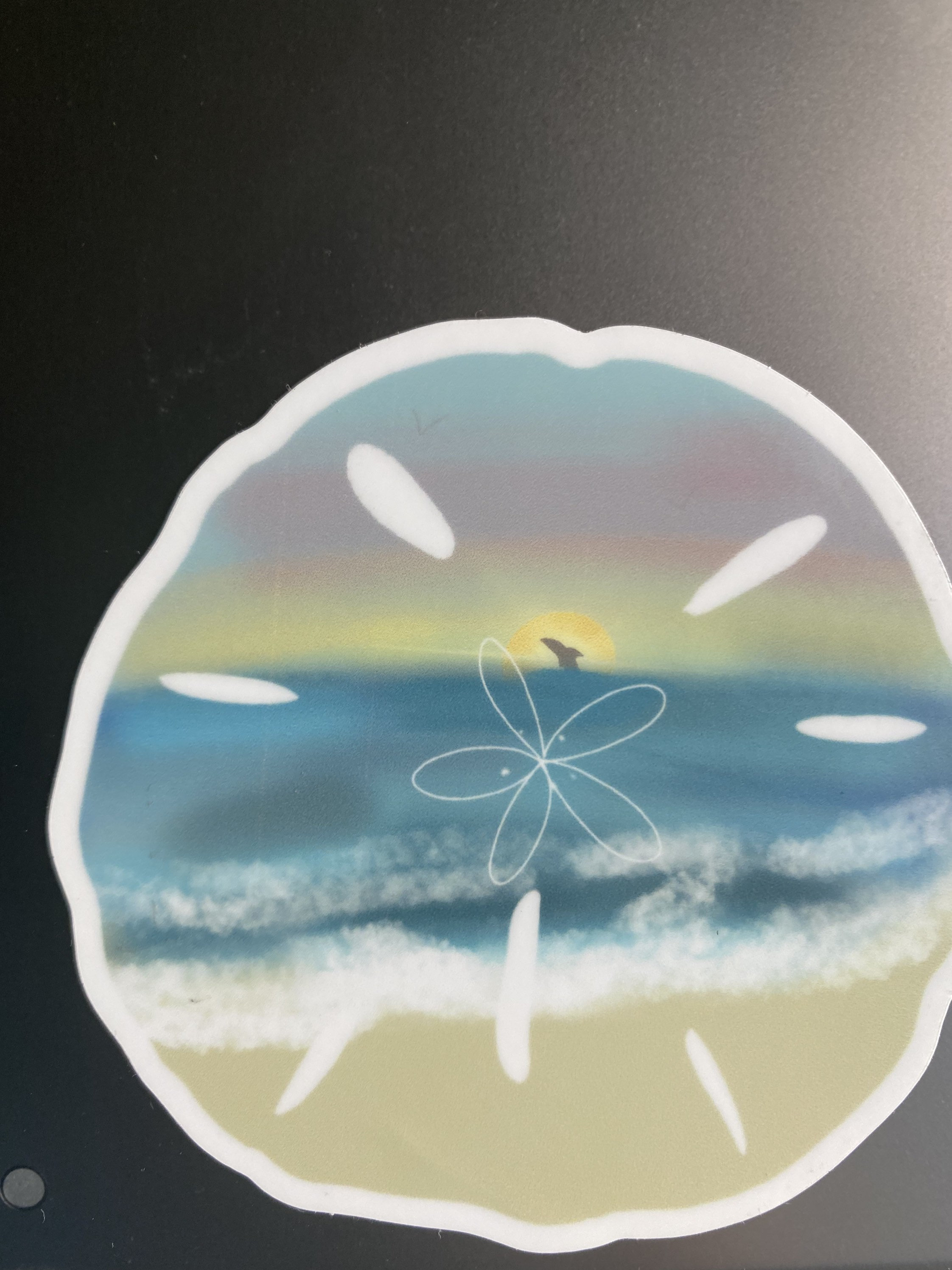 Sunset Sand Dollar Sticker - Etsy