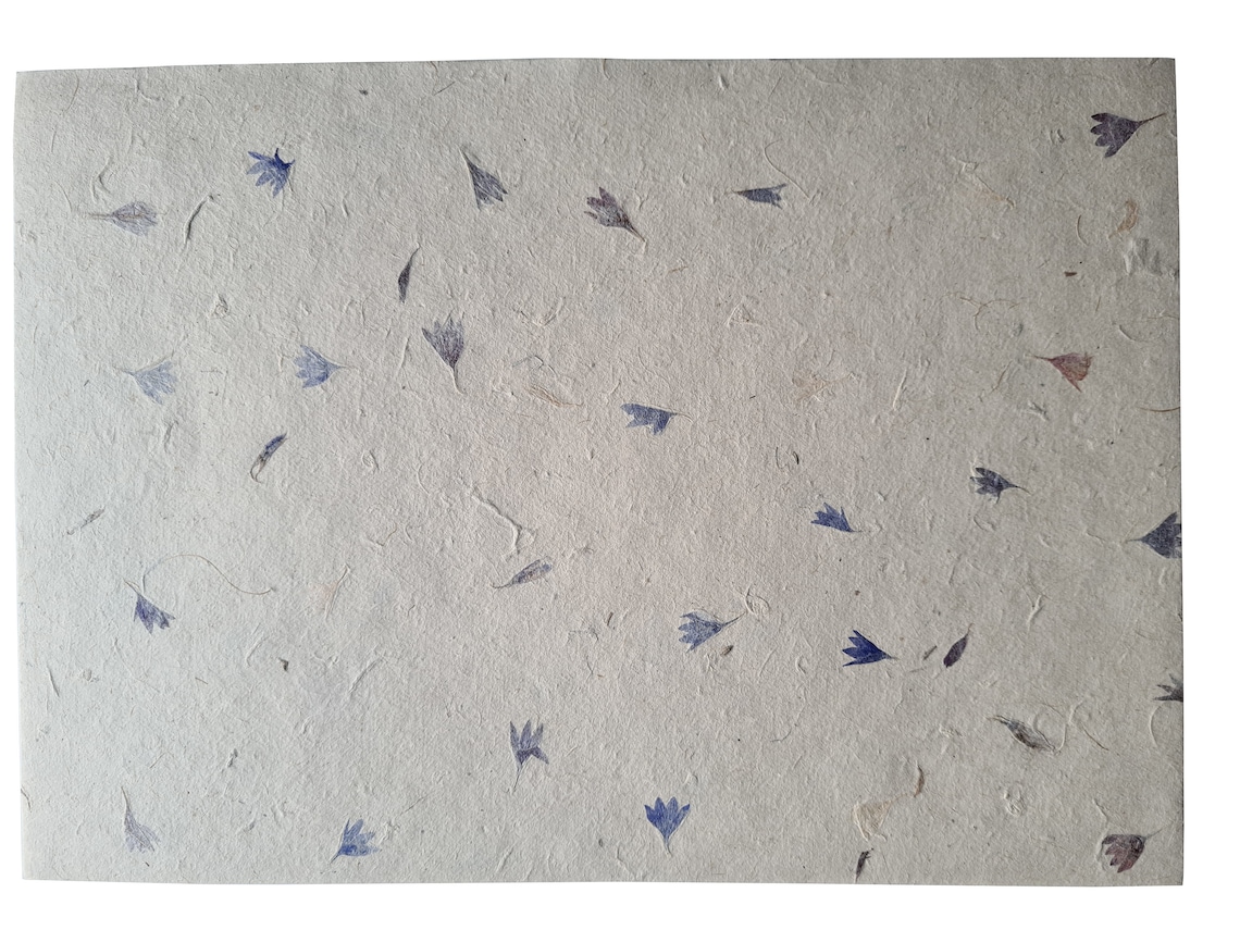 Handmade A4 Lokta Paper Cornflower Blue Petal 20 Sheets - Etsy