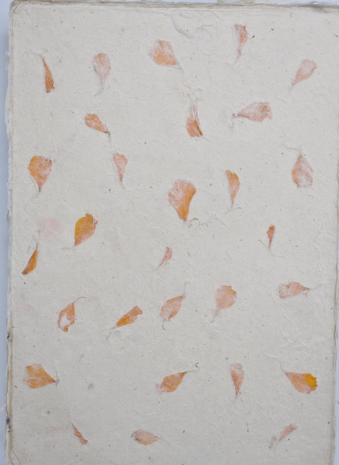 A4 Lokta Paper, Decled Edge Handmade Paper, Marigold Petal Design Pack ...