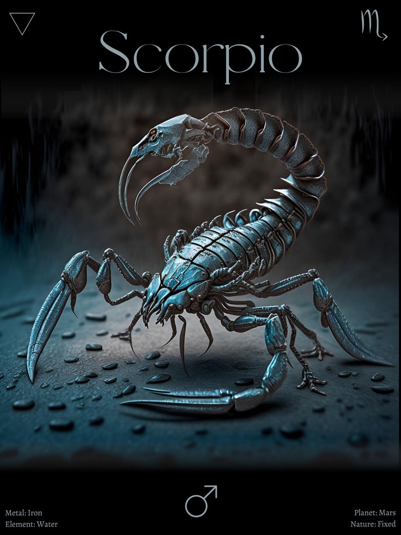 Scorpio Zodiac Poster 12 X 18 - Etsy