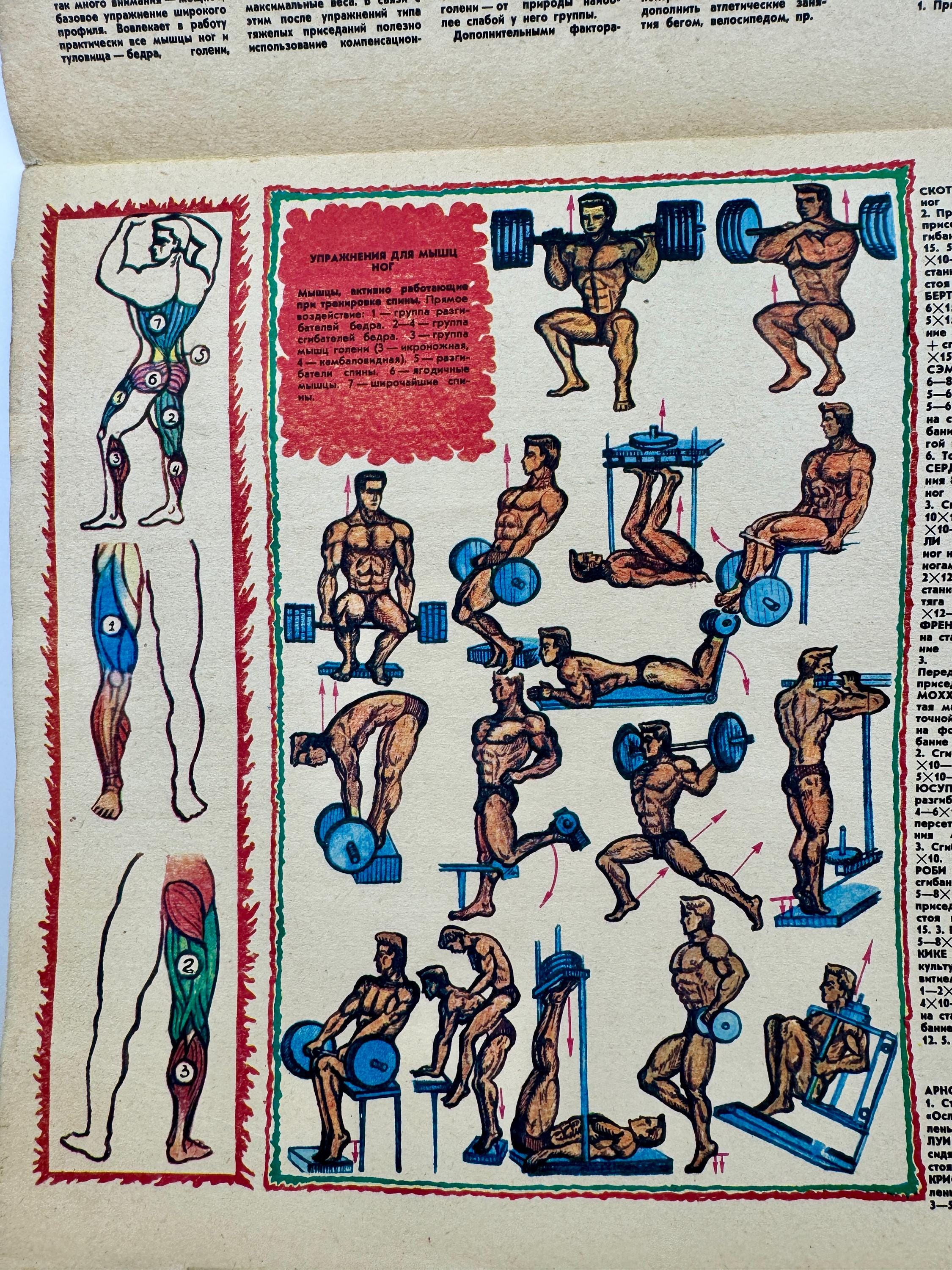 Soviet Bodybuilding Poster Foldout USSR Fitness Magazine Art 1980s ...