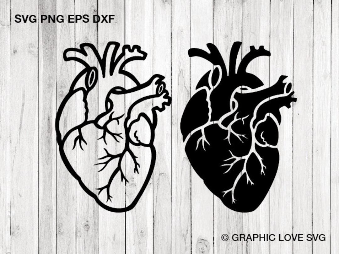 Anatomical Heart Svg, Heart Svg, Human Heart Clip Art Decal, Nurse Life ...