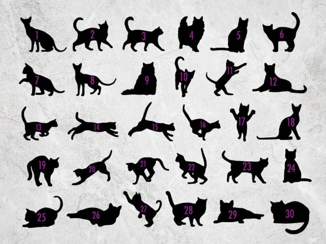 55 Cat Silhouettes SVG Cat Shapes Clip Art Bundle Cat DXF - Etsy