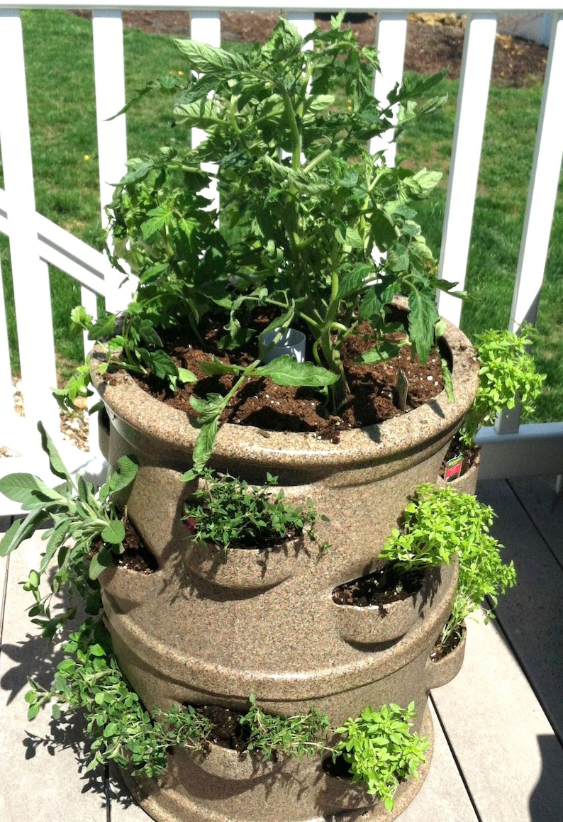 Multi-pocket Succulent Planter - Natural Sandstone Color - Succulent ...