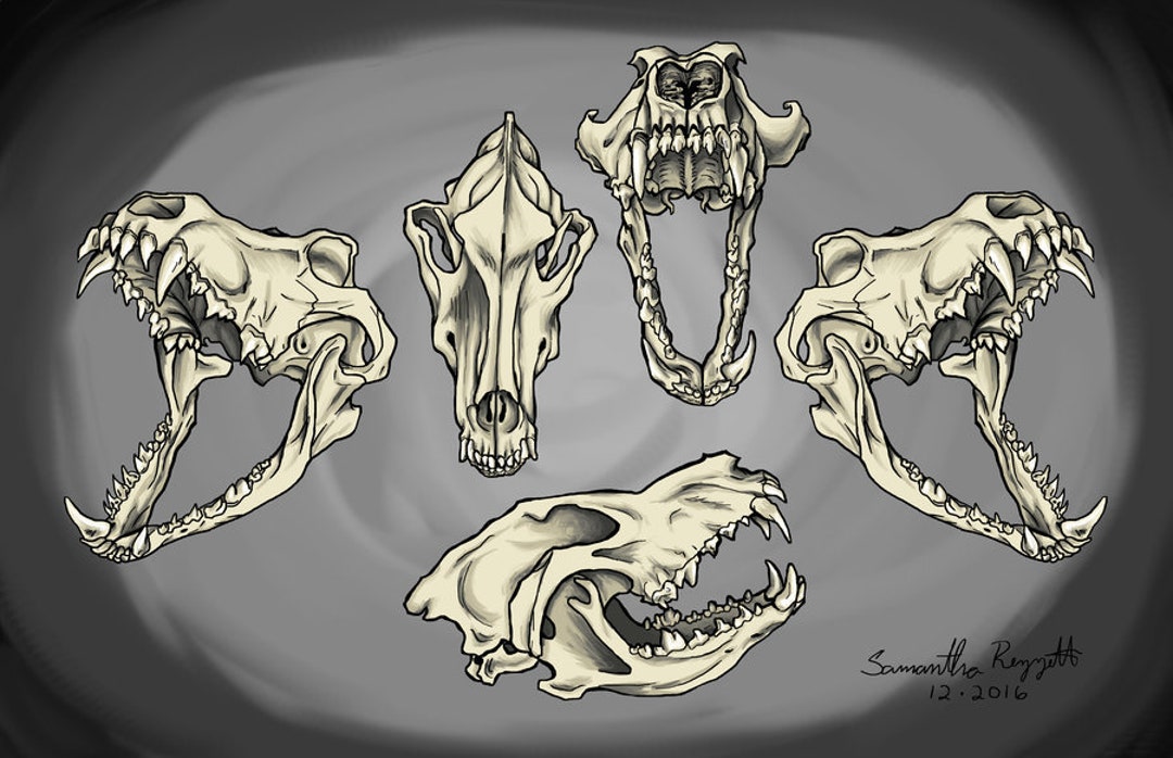 Wolf Skulls Orthograph - Fine Art Print - Digital Animal Skull ...