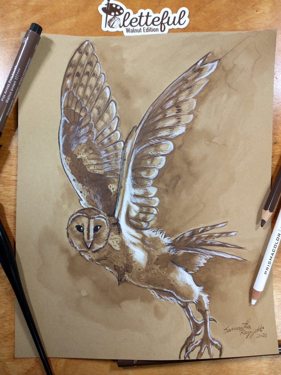 Walnut Owl - Original 8" X 10" Artwork - Hand Drawn Animal Illustration ...